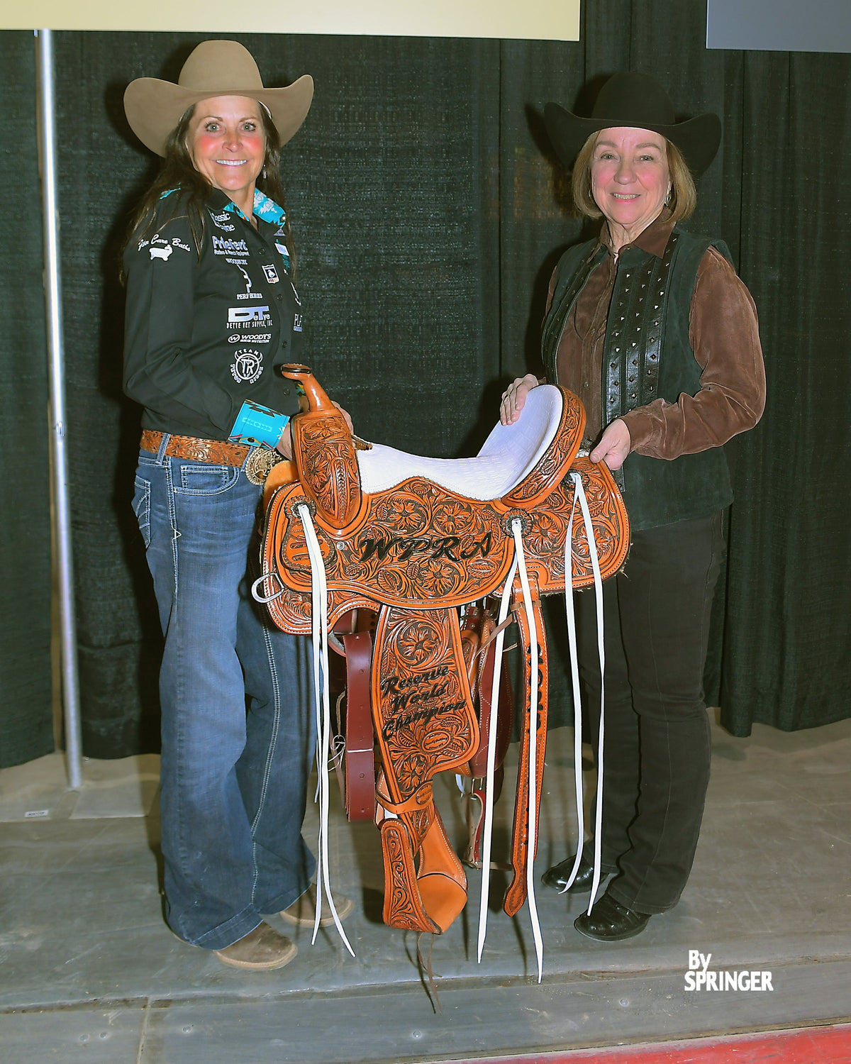 LISA'S STORY - ROUND WINNER, AVERAGE WINNER, RESERVE WORLD CHAMPION ...